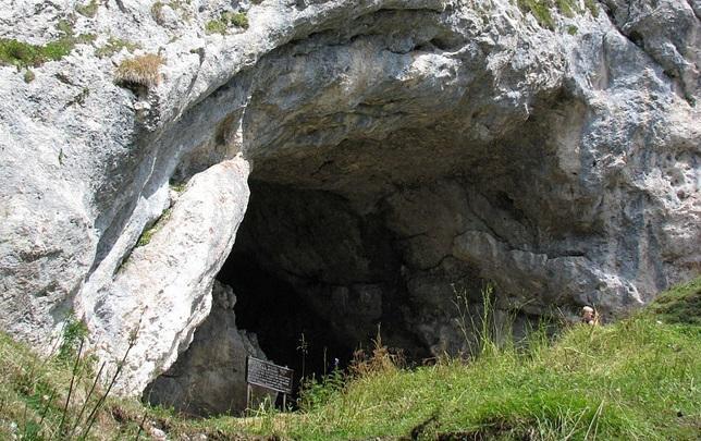 Potočka zijavka - paleolitsko jamsko najdišče - V Fokusu